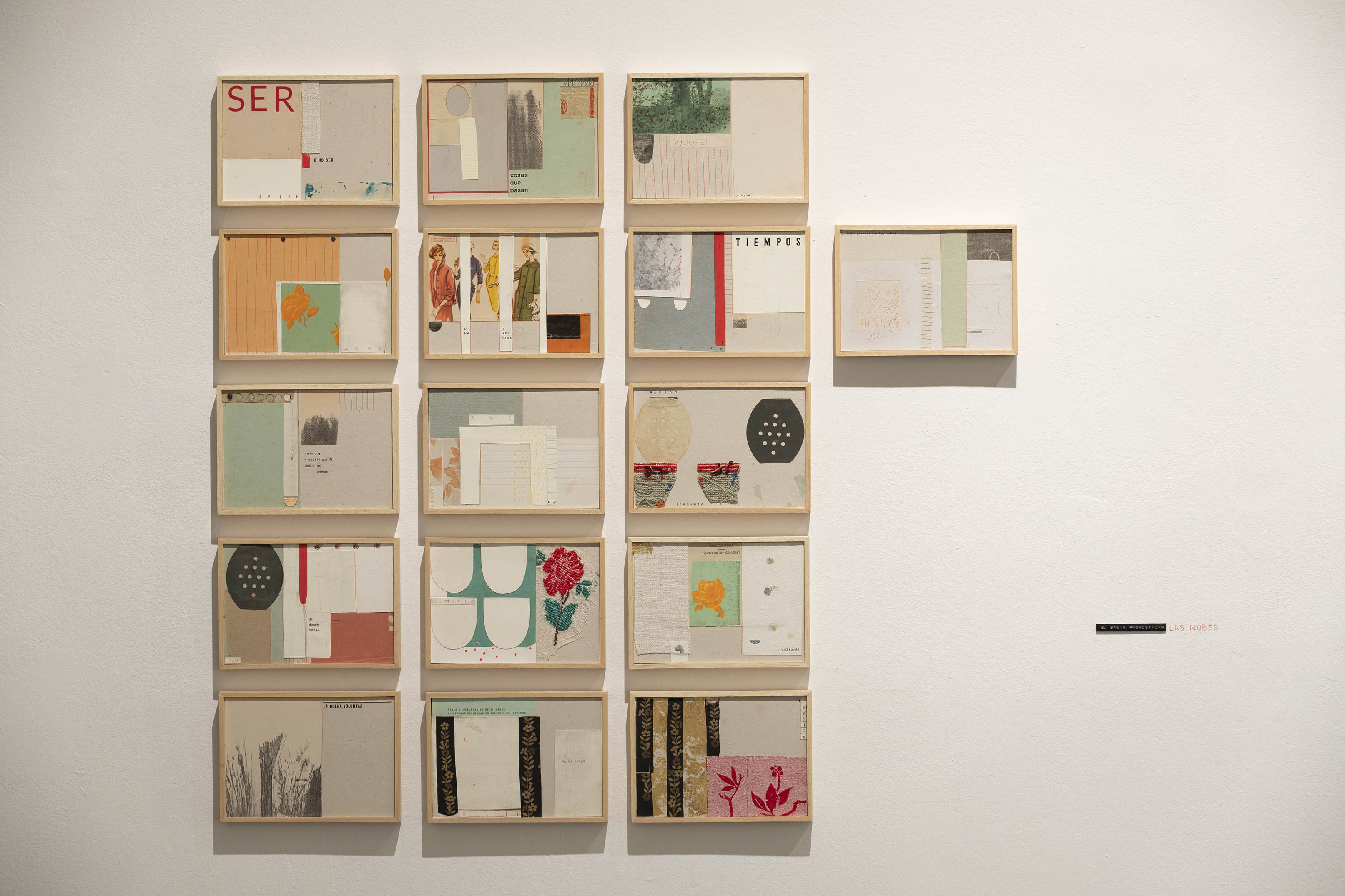 CDAN | PULSIÓN BOTÁNICA. De Blanca Catalán de Ocón a Ana Escar